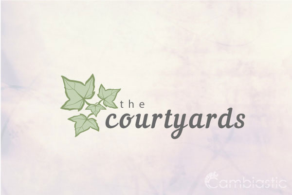 Cambiastic - Custom Logo & Brand Identity Design