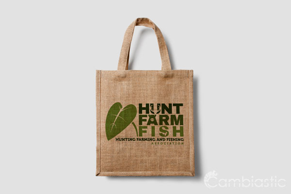 Cambiastic - Custom Logo & Brand Identity Design